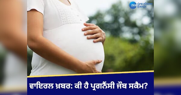 Anyone Who Makes Me Pregnant In 3 Months Gets Cash Property Know What Is Pregnancy Job Scams ‘3