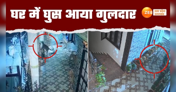 Guldar seen roaming in house in bageshwar of uttarakhand watch cctv ...