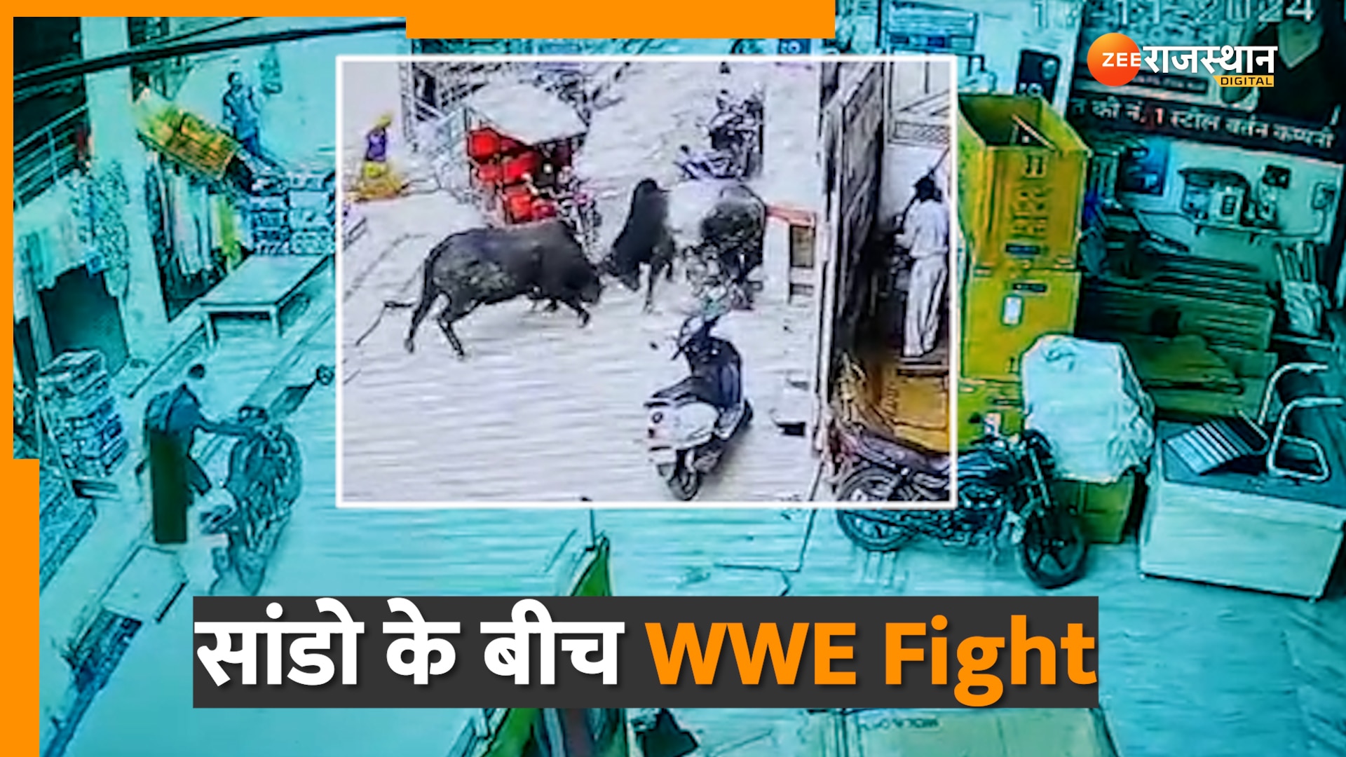 Kotputli Video WWE fight between two bulls in middle of road | Bull ...