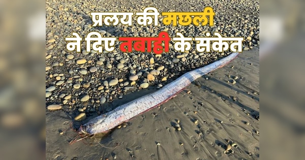 doomsday fish Rare Oarfish found dead at Southern California beach baba ...