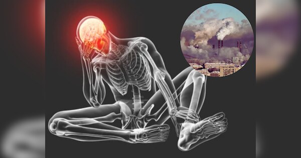 air pollution can turn the body into a skeleton prolonged exposure ...