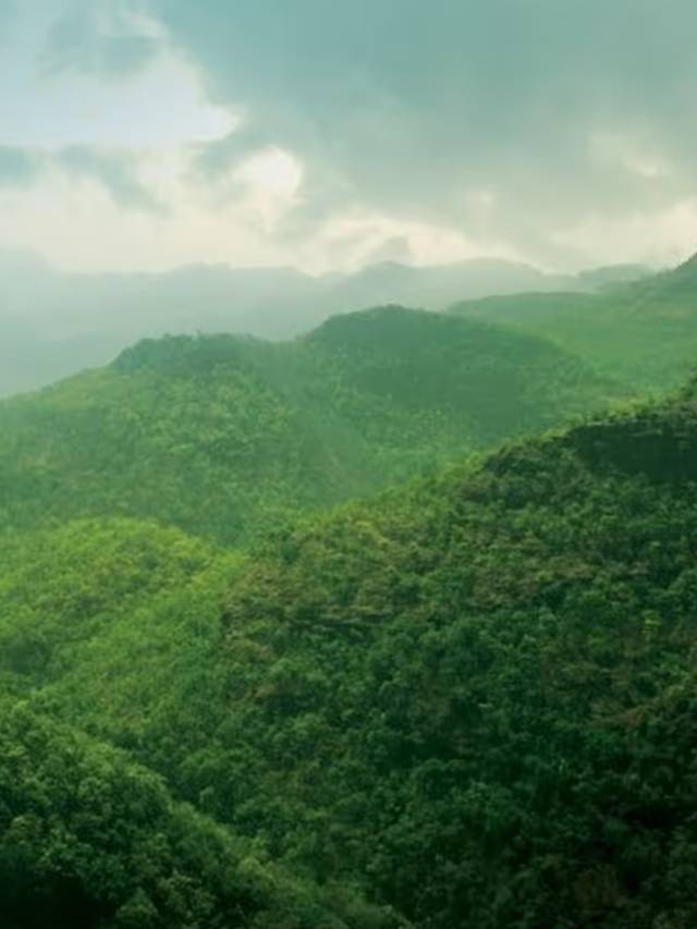 pachmarhi hill station temperature is 5.6 degree celsius 5th coldest ...
