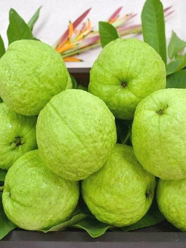winter superfood guava rich in vitamins and provides relief from ...