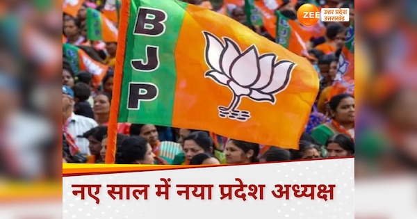 new up bjp president likely to be announced in january 2025 as ...