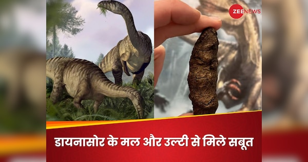 Science News Today In Hindi: How Dinosaur Ruled Earth For Millions Of ...