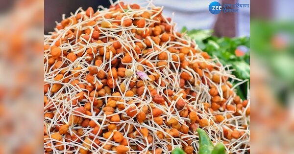 Health Benefits Of Sprouted Gram Ankurit Chana Khane Ke Fayde|ਪੁੰਗਰੇ ...