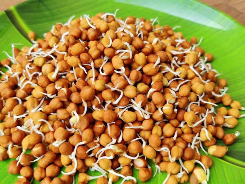 Health Benefits Of Sprouted Gram Ankurit Chana Khane Ke Fayde|ਪੁੰਗਰੇ ...