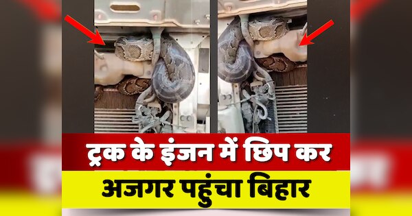 Huge python hidden in truck engine reach Bihar From Up travelling 98 km ...