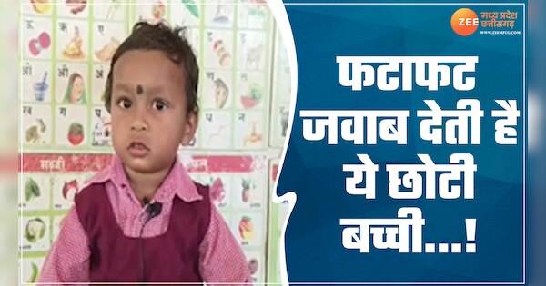 Vatsala world oldest elephant in Panna Tiger Reserve takes care of ...