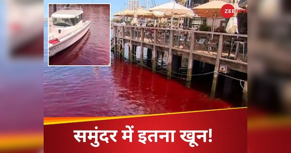 Why is the water red in Sydney | What causes blood red water | Where ...
