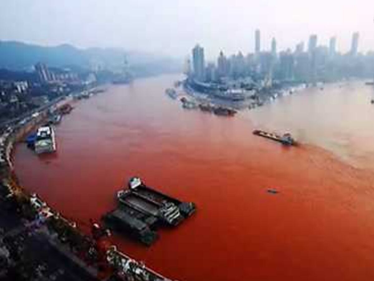 Why is the water red in Sydney | What causes blood red water | Where ...