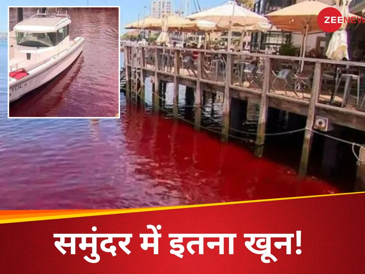 Why is the water red in Sydney | What causes blood red water | Where ...