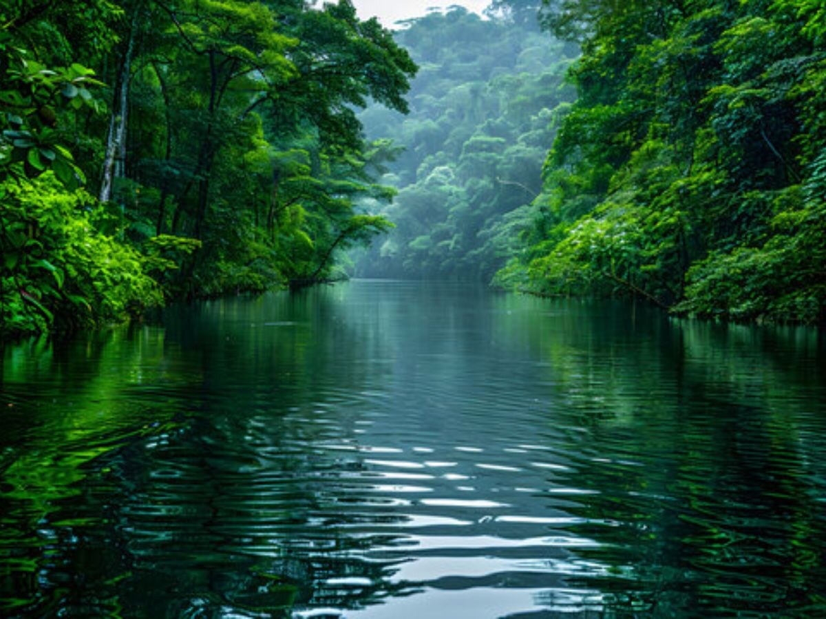 deepest river in the world why Congo River is so deep 3 Qutub Minars ...