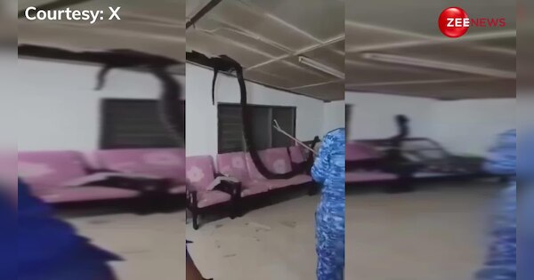 80 kilo and approx 10 feet long python fall from ceiling goosebumps ...