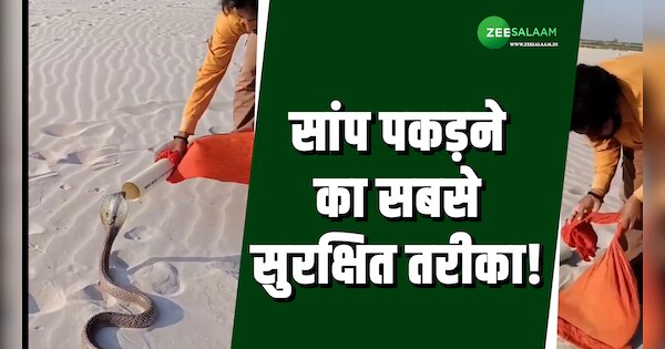 a man try to catch snake in a very Unique way video viral on Internet ...