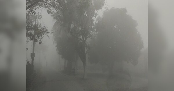 bihar 11 december weather shivering cold wreaks havoc temperature falls ...