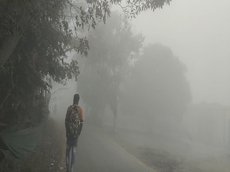 bihar 11 december weather shivering cold wreaks havoc temperature falls ...