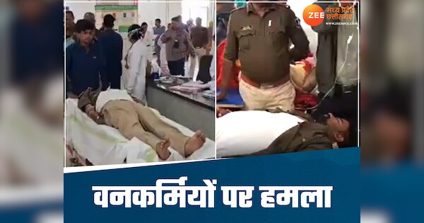 MP News Forest department attacked team which went to remove encroachment in Khandwa 5 injured ...