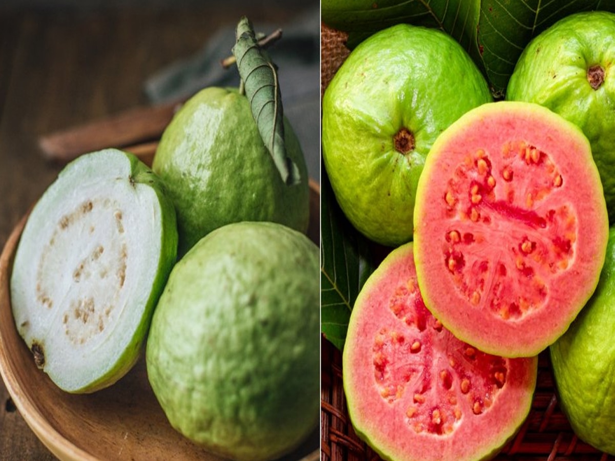 Green white and pink guava health benefits know the best time to eat ...