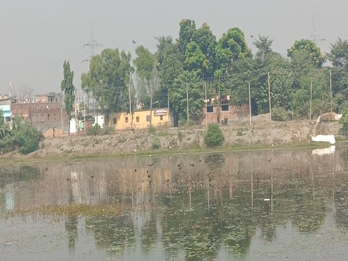 siberian birds arrived at saharsa matsyagandha lake as winter arrives ...