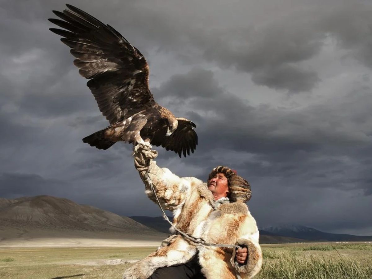 Knowledge Story | Wild life | Eagle Eye Vision | hunting bird Eagle ...