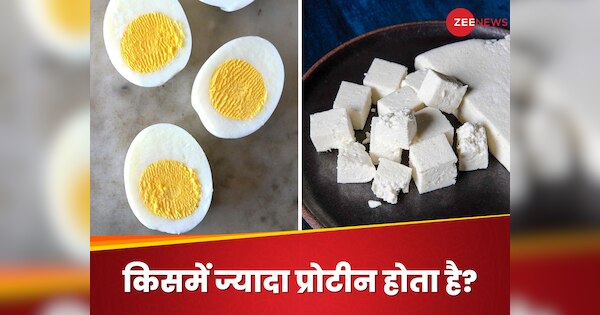 1 egg or 100 grams paneer which has more protein know from nutritionist ...