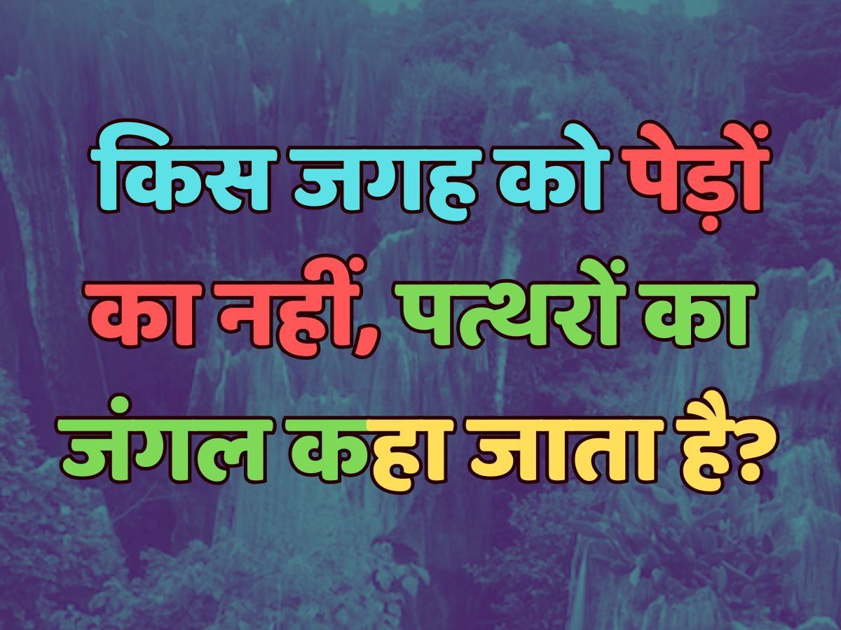 Trending Quiz किस जगह को पेड़ों का नहीं पत्थरों का जंगल कहा जाता है