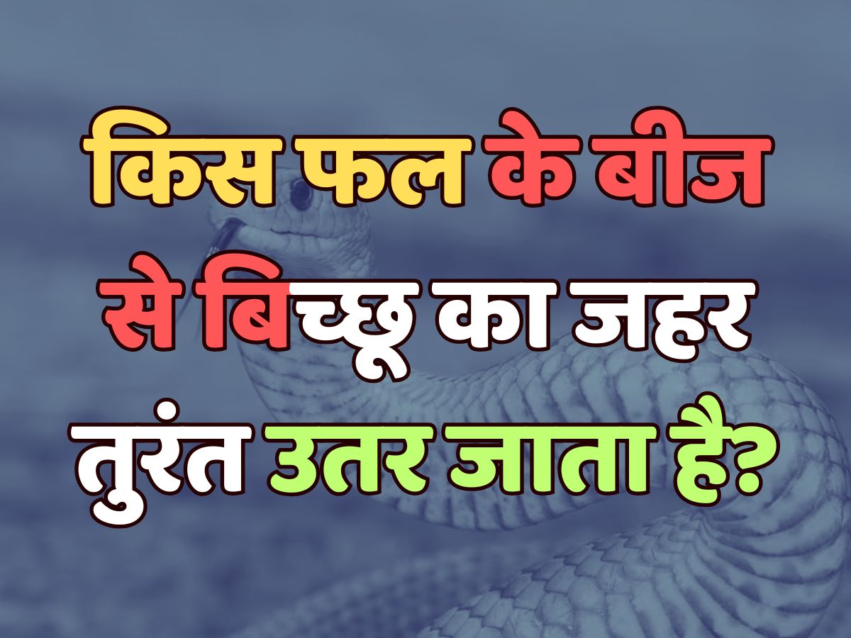 Trending Quiz क्या आप जानते हैं किस फल के बीज से बिच्छू का जहर तुरंत