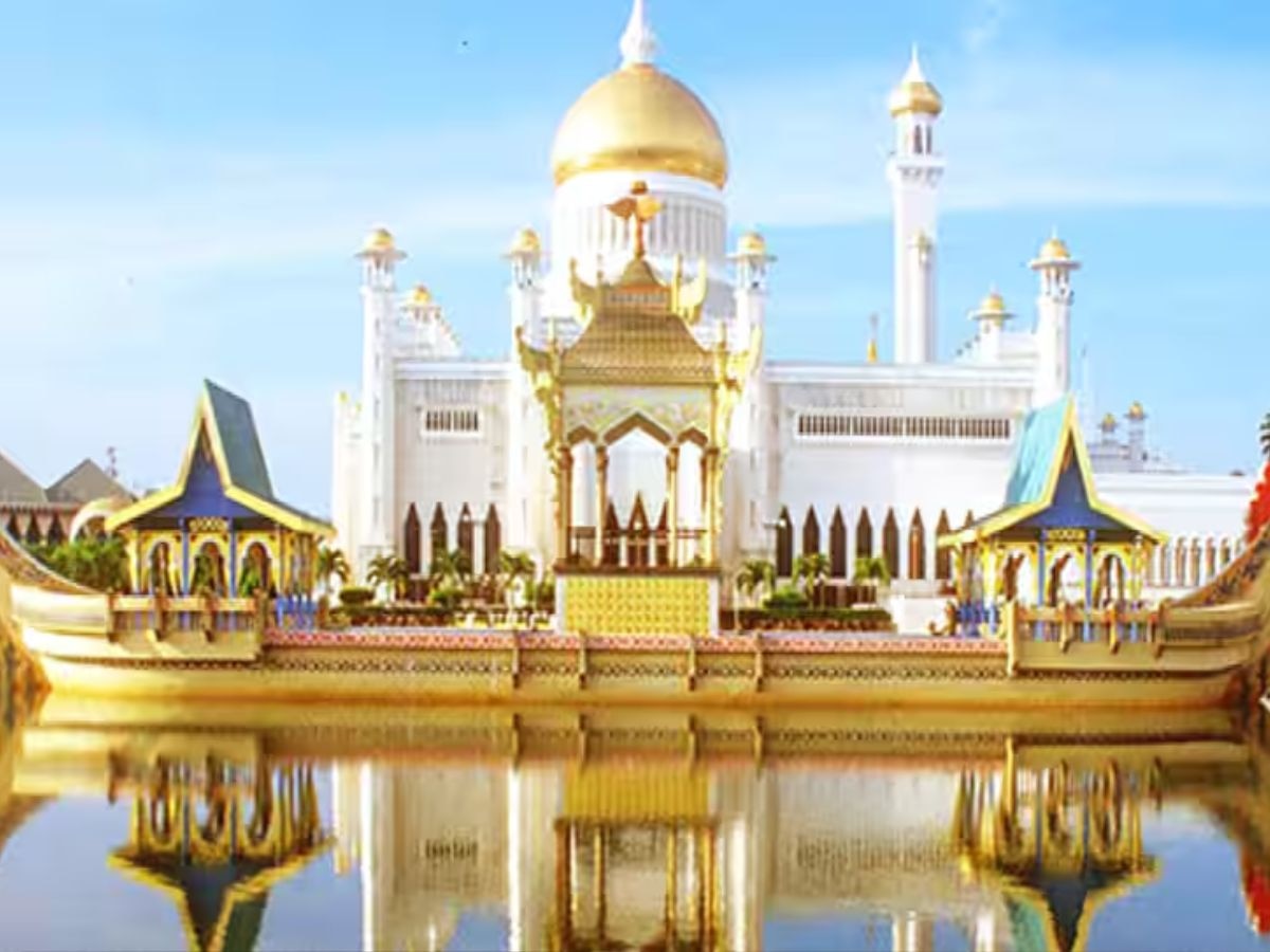 Who has the largest car collection in the world | Who has 7000 car ...