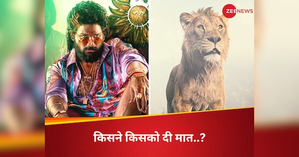 Box Office Collection Pushpa 2 Earn 25 Cr At Day 17 Mufasa: The Lion ...