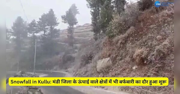 Snowfall has started in the high altitude areas of Mandi district as ...