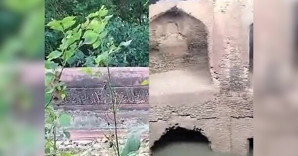 Tota Maina ki Qabr history and story in sambhal Uttar Pradesh| तोता ...