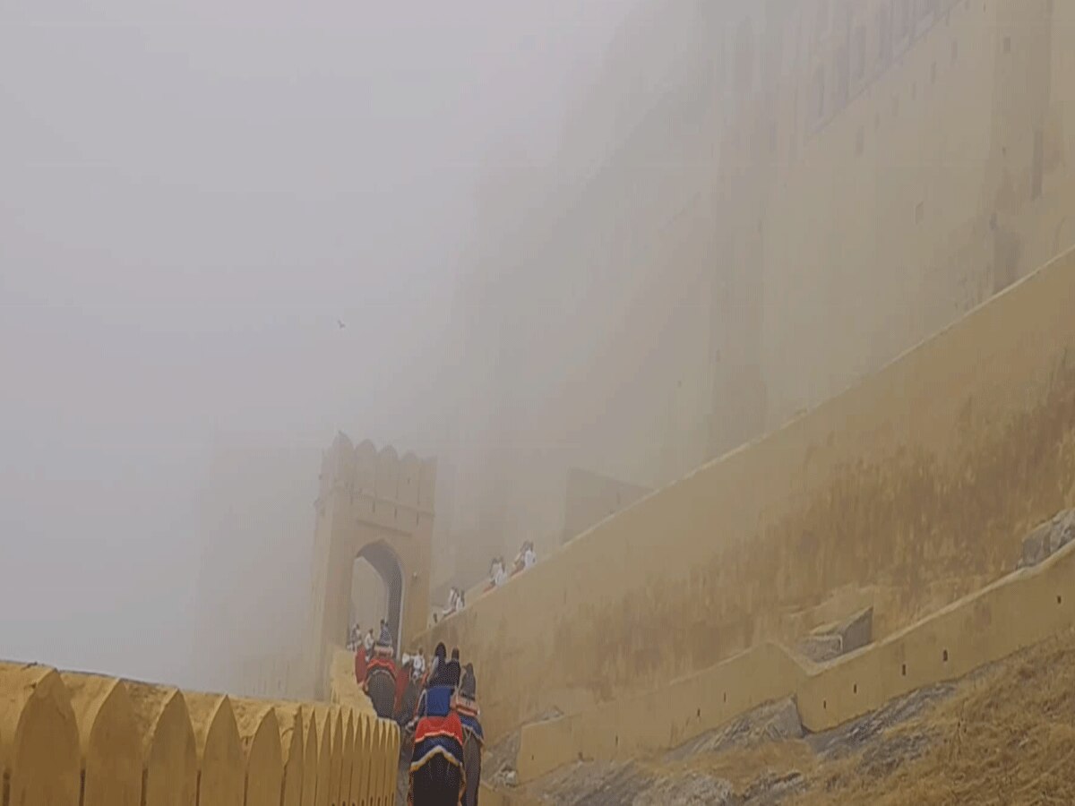 Fog havoc in Jaipur on last day of 31 december 2024 |साल 2024 के आखिरी ...