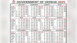 holiday calendar 2025 की ताज़ा खबरे हिन्दी में | ब्रेकिंग और लेटेस्ट ...