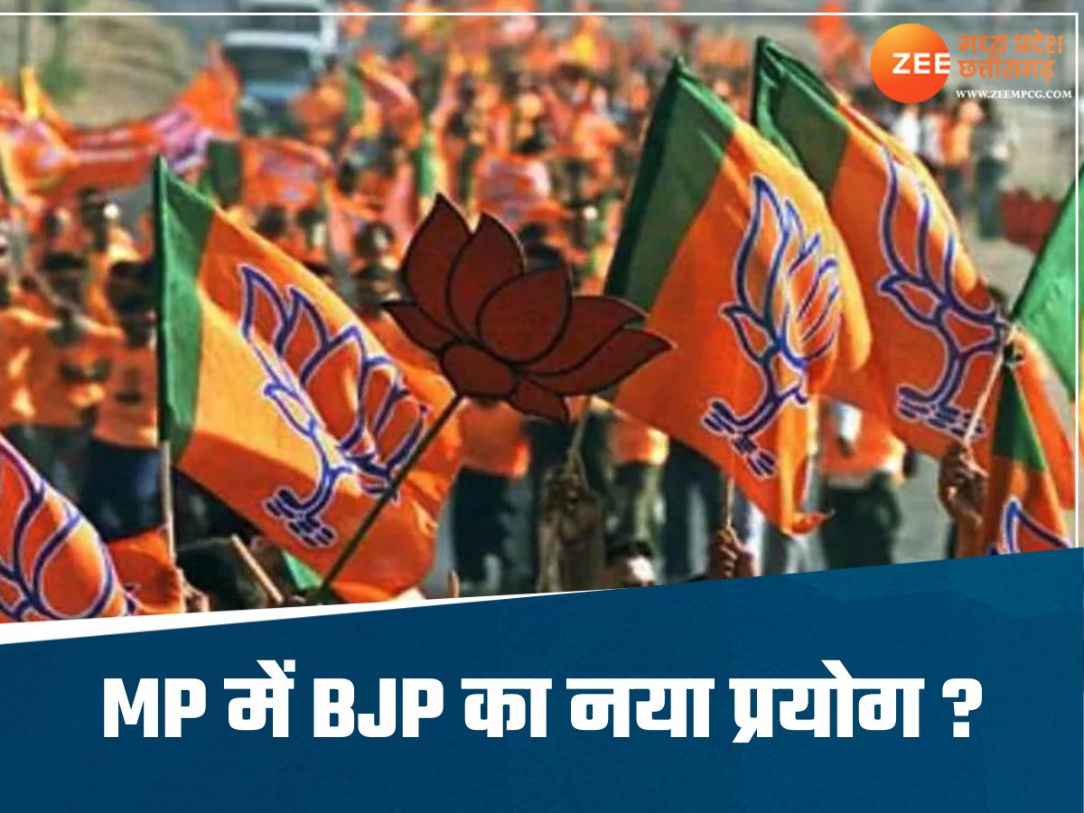 ZeeMPCG, Madhya Pradesh News, Chhattisgarh News, MP News in Hindi, CG ...