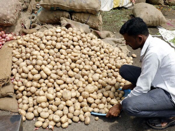 West Bengal government is responsible for Odisha Potato crisis, serious ...