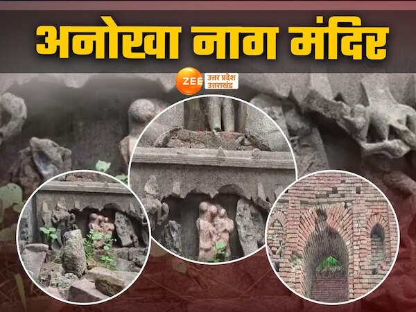 UP Unique dhora nag mandir in Auraiya no one has been able to get roof ...