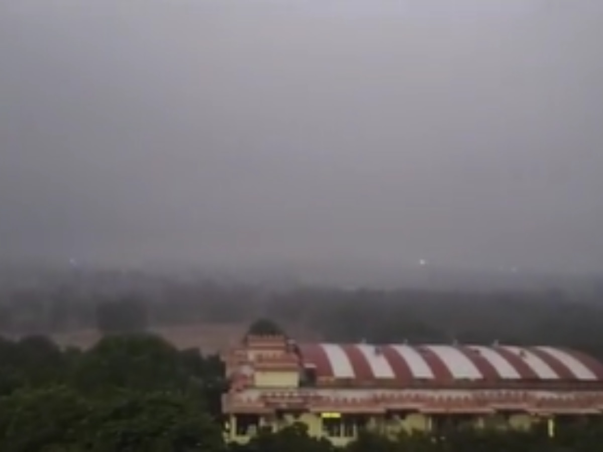 Sikar Weather: हाड़ कंपाने वाली शीतलहर से ठिठुर रहा सीकर, कोहरे और धुंध ...