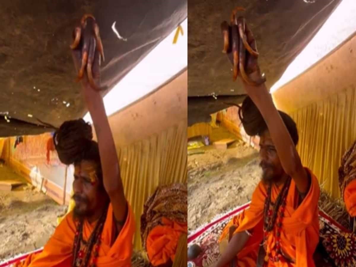 MahaKumbh Mela 2025 strange Babas Photos including Environment Baba ...