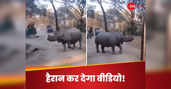 Kaziranga viral video Safari accident Rhino encounter Mother and ...