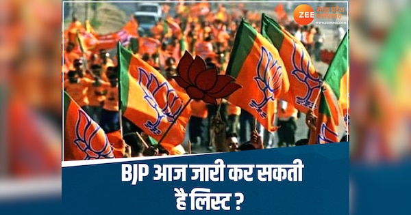 bjp can announce names of district presidents in madhya pradesh today ...