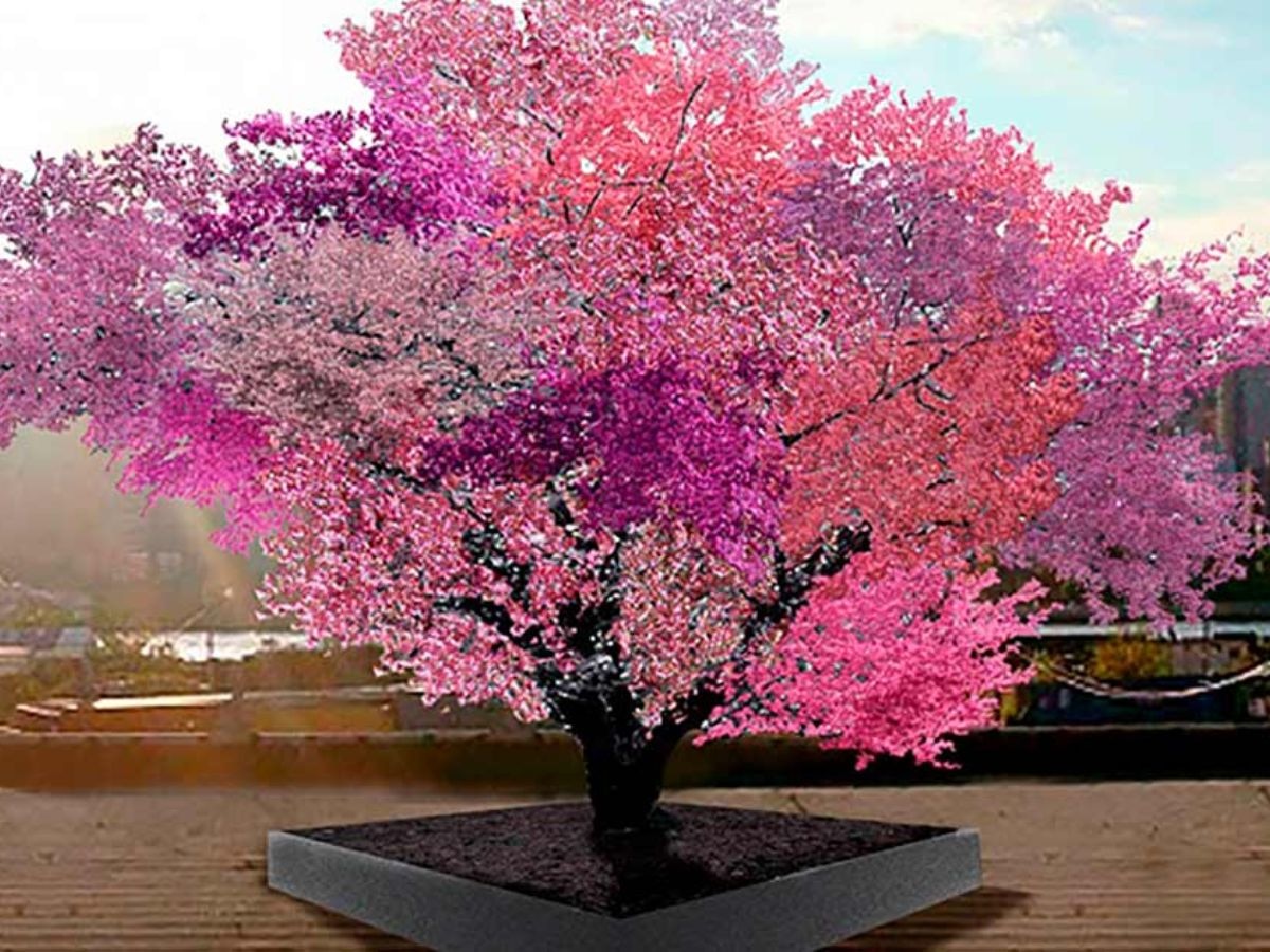 Tree of 40 | single tree bears 40 different fruits | sam van aken artist sculpts in living trees ...