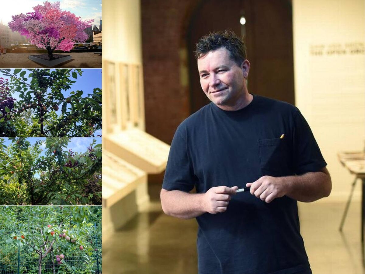 Tree of 40 | single tree bears 40 different fruits | sam van aken artist sculpts in living trees ...