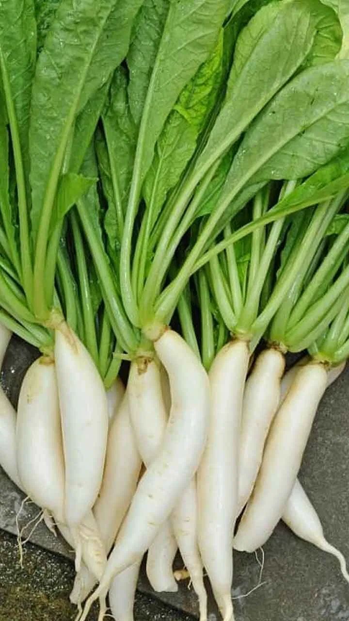 Radish Leaves Benefits for health in winters mooli ke patte ke fayde ...
