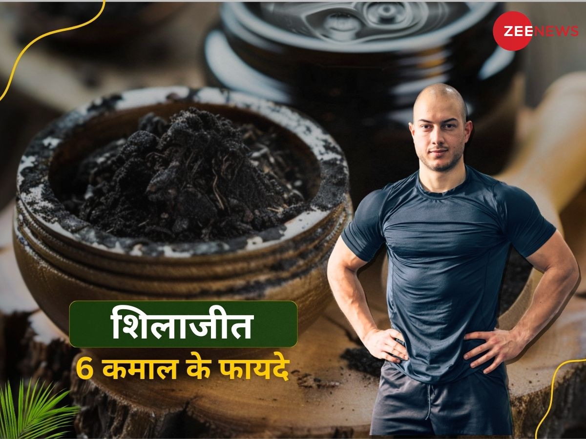 Shilajit benefits 6 tremendous health benefits your body get apart from ...