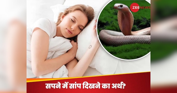 Swapna Shastra in Hindi Sapne Mein Saanp Dikhne ka Arth Meaning of ...