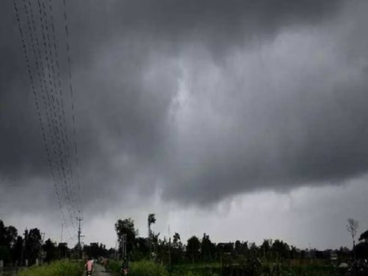 bihar 13 january weather rain brought big change westerly wind ...