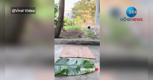 Ollywood Actor Swaraj Barik shared mutton curry video on Makar ...