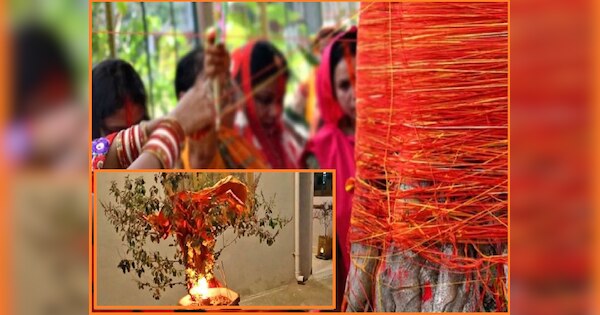 kalava benefits tie kalava to these trees for good luck bargad tulsi ...