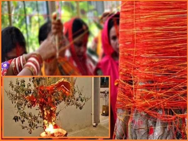 kalava benefits tie kalava to these trees for good luck bargad tulsi ...